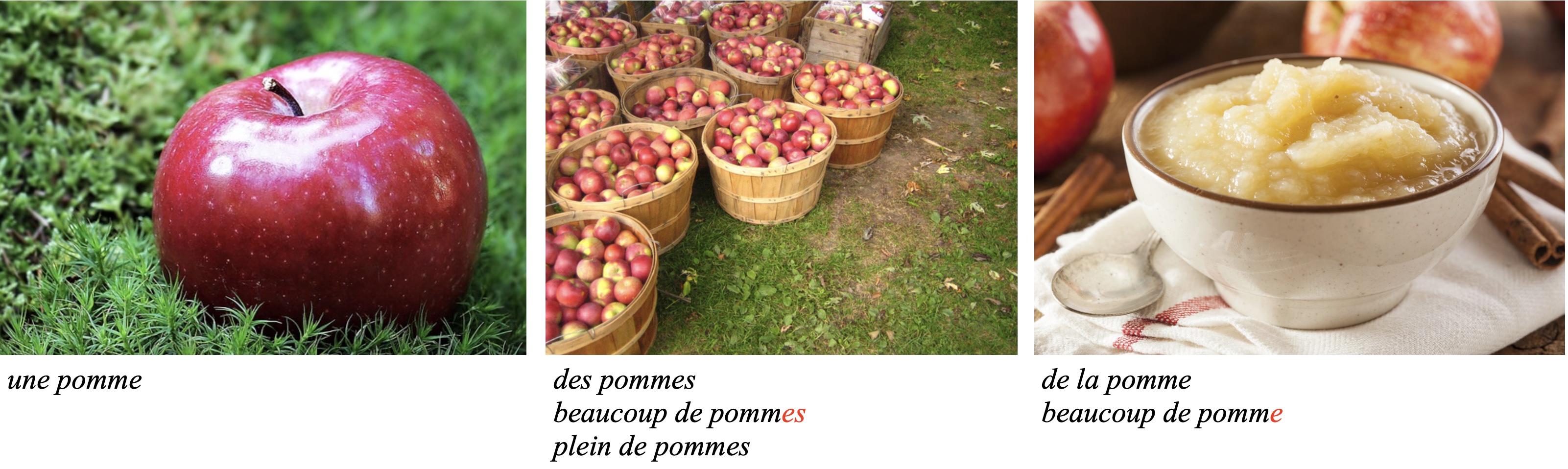 Lundi 4 et Mardi 1